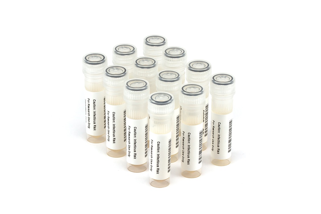 HBV6292 HBV Seroconversion Panel Donor n. 64006 (12x 1 ml) | Helvetica ...